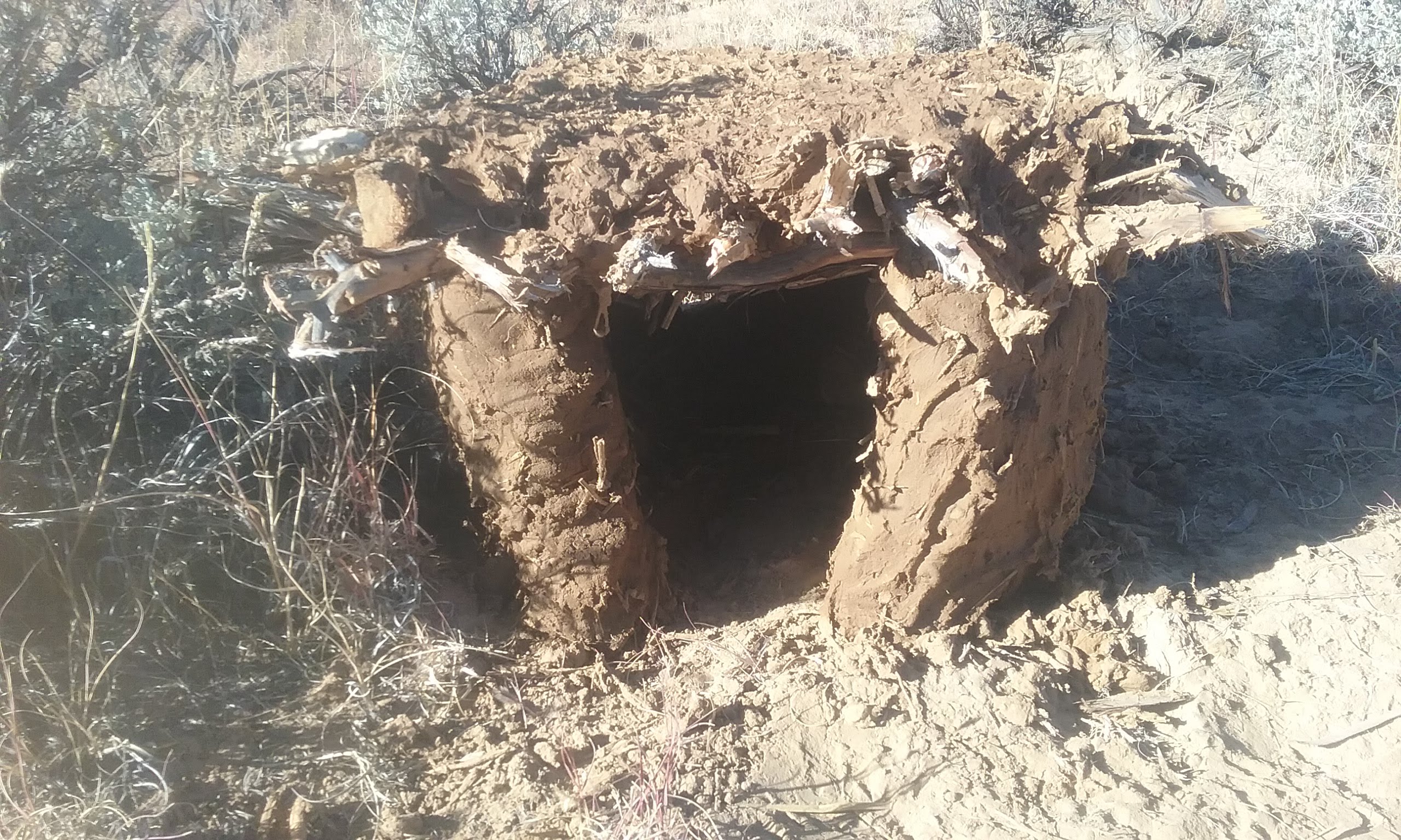 The Fairy House – Randy Eggert